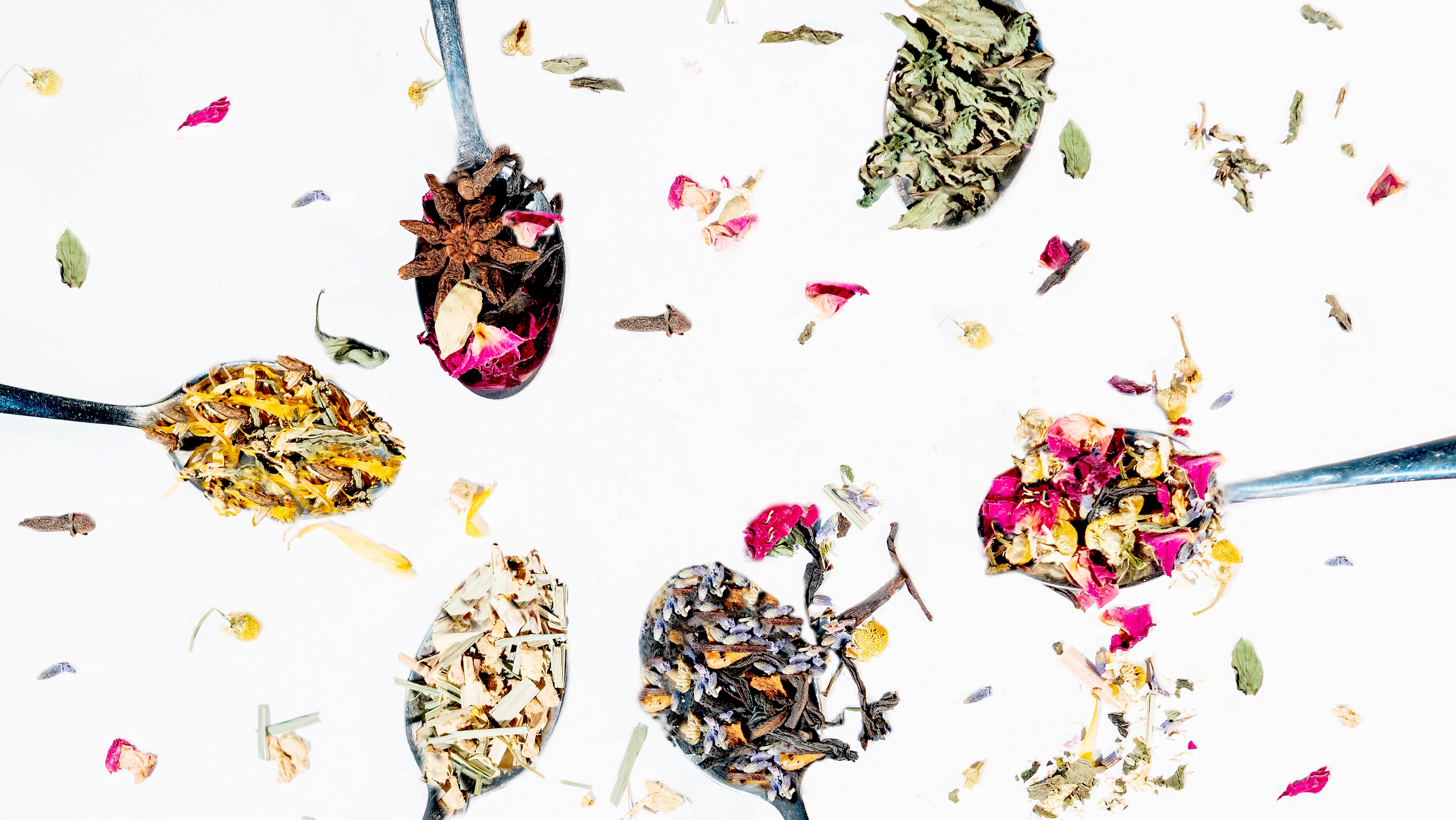 Shop Handcrafted Organic Teas from Australia | Teaspoon Co.